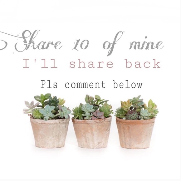 Accessories | New Share 4 Share | Poshmark